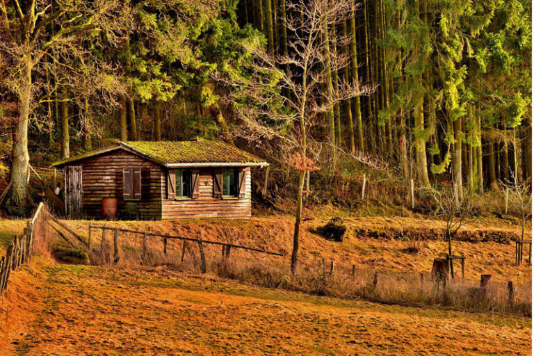 Chalets at Wacky Woods Riverside Resort Nature Resort